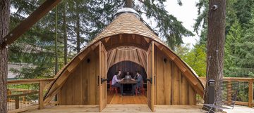Elevating Workspaces: Microsoft Treehouses – KlikUSA