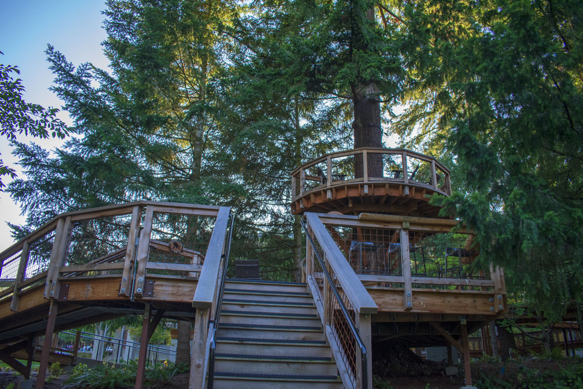 Natural Beauty: A Closer Look at the Microsoft Treehouses – KlikUSA