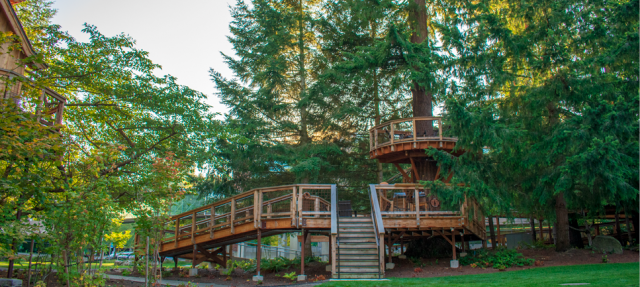 Natural Beauty: A Closer Look at the Microsoft Treehouses – KlikUSA